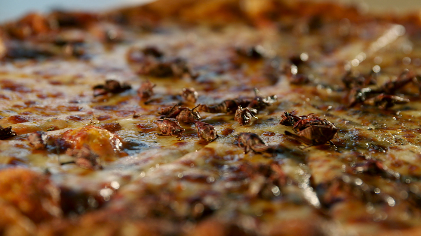Don't Bug Out! The Smithsonian Channel Is Going To Show You How To Cook ...