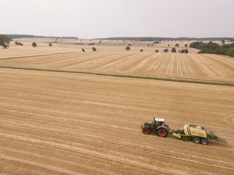 German Farmers Struck By Drought Fear Further Damage From Climate ...