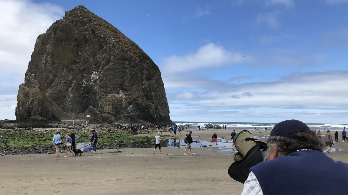 Rediscovering Haystack Rock With An Assist From The 'Puffin Man' : NPR