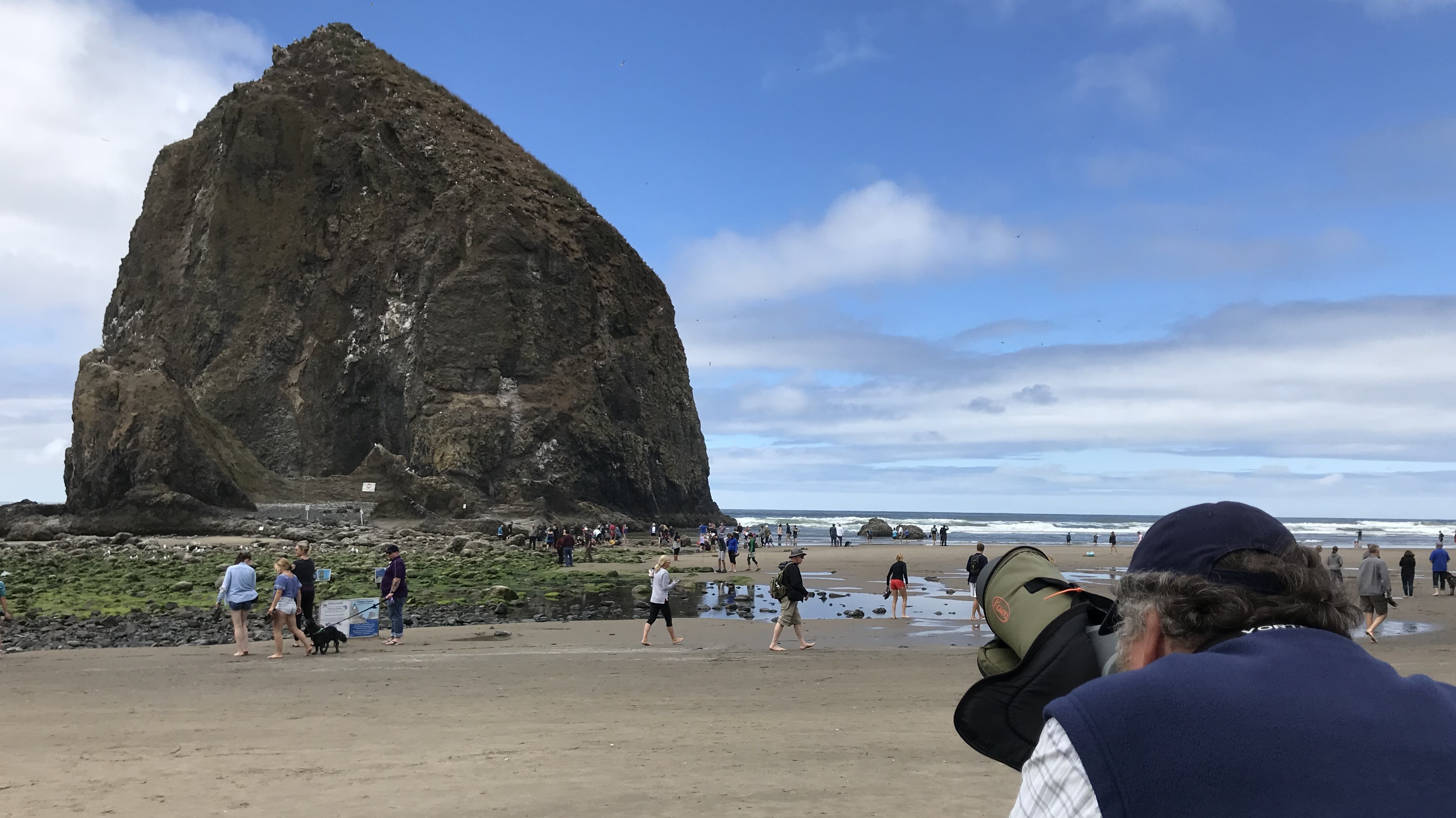 Rediscovering Haystack Rock With An Assist From The 'Puffin Man' : NPR