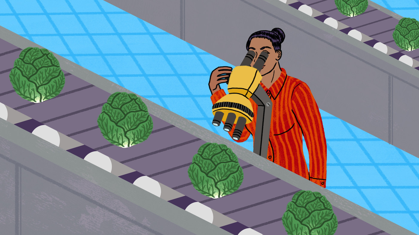 Food Safety Scares Are Up In 2018. Here's Why You Shouldn't Freak Out ...