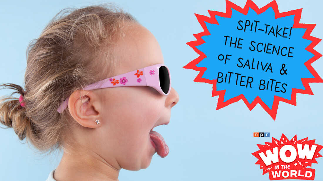 Spit-Take! The Science Of Saliva And Those Bitter Bites : NPR