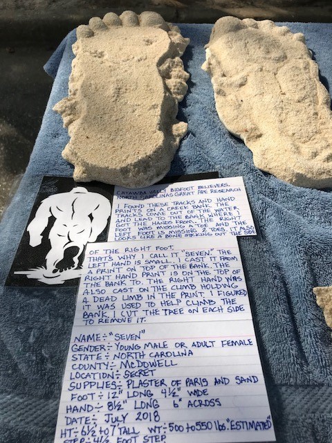 The Lore Of Bigfoot Lives On At North Carolina Bigfoot Festival | NPR ...