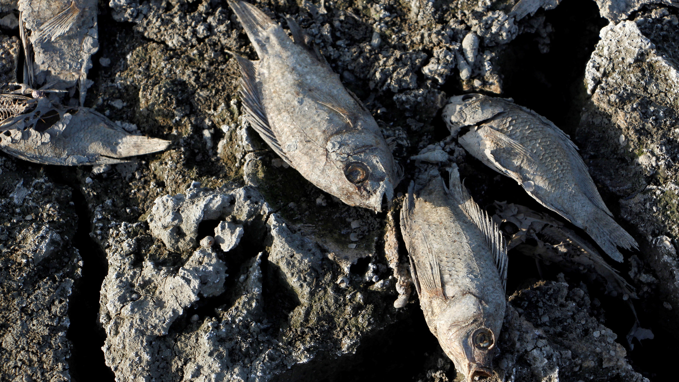 Number Of Hungry People Is Going Up By Millions According To New U.N ...