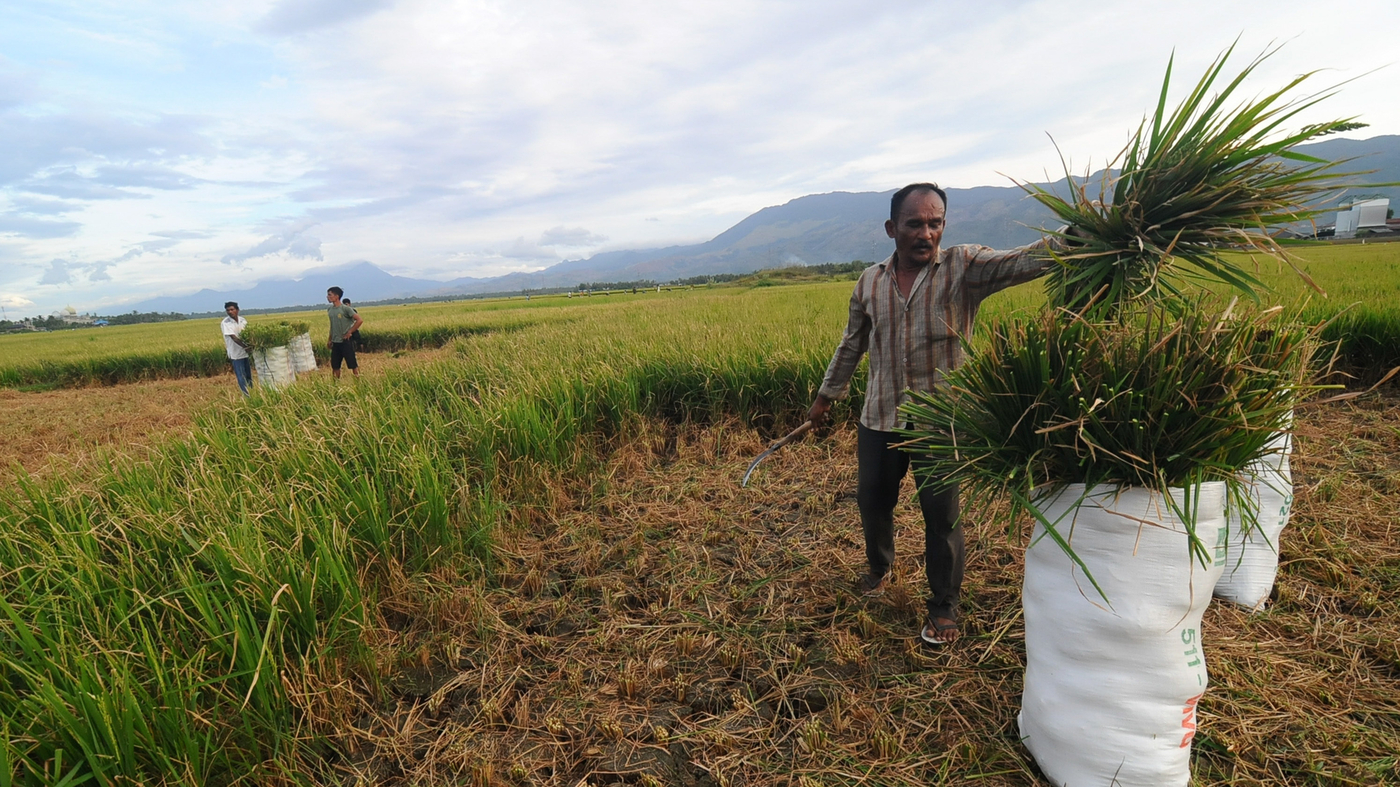 Number Of Hungry People Is Going Up By Millions According To New U.N ...