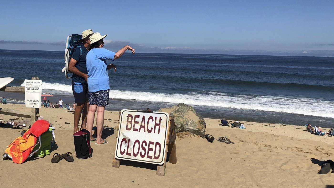 Swimmer Dead After Shark Attack On Cape Cod : NPR
