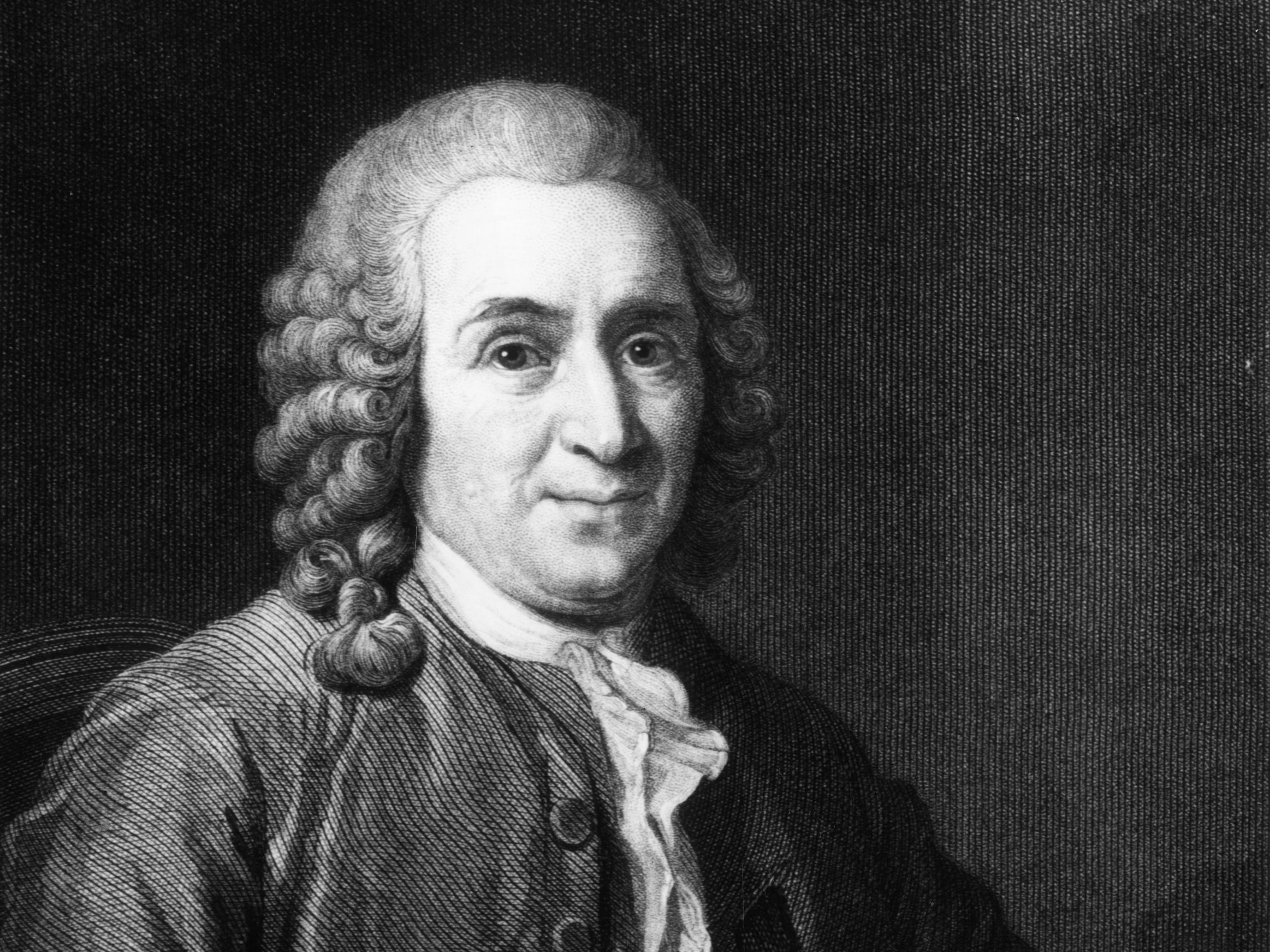 Carl Linnaeus's Instagram, Twitter & Facebook on IDCrawl