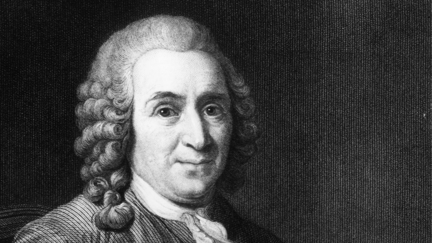 If We Called Ourselves Yellow : Code Switch : NPR