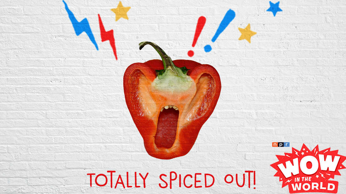 Totally Spiced Out! : NPR