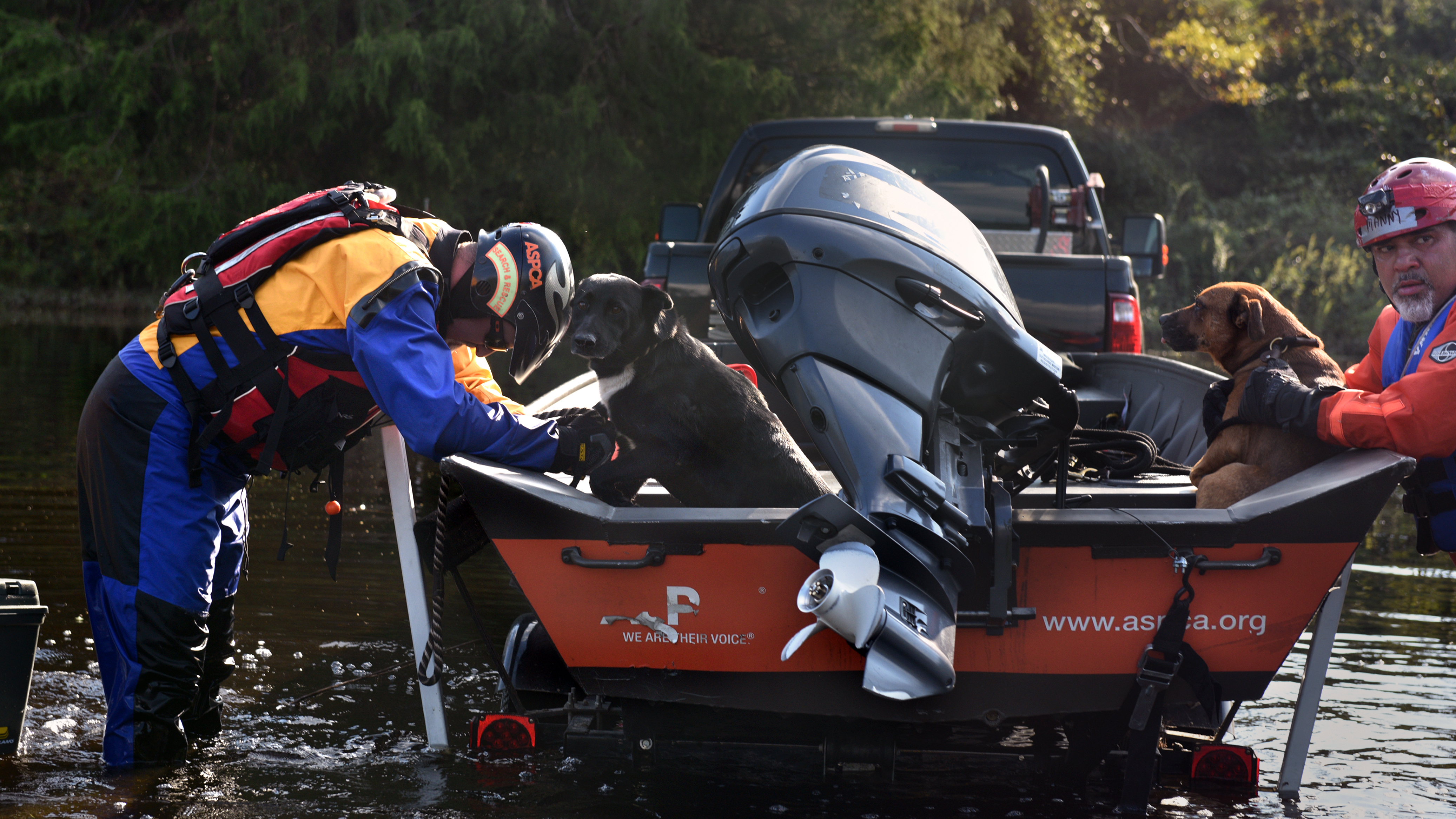 PHOTOS: As Florence Floodwaters Rose, Rescuers Helped Hundreds Of ...