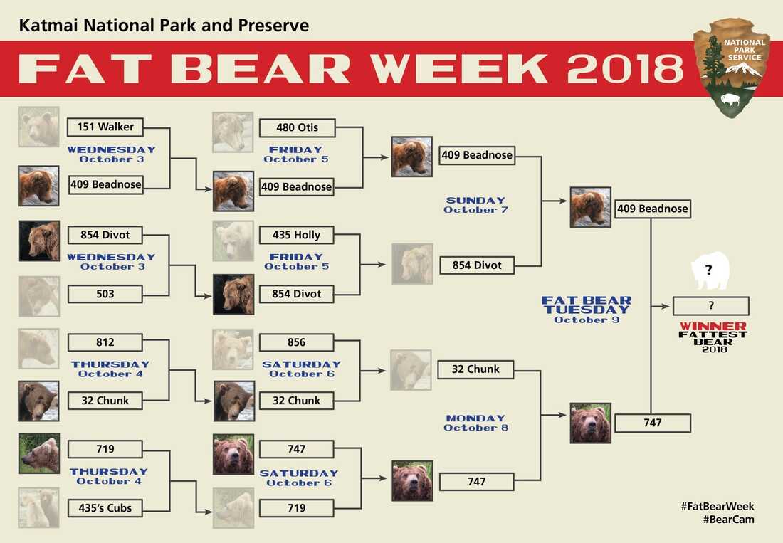 'Her Radiant Rolls' Put Her Over The Top: Alaska Park Names Its ...