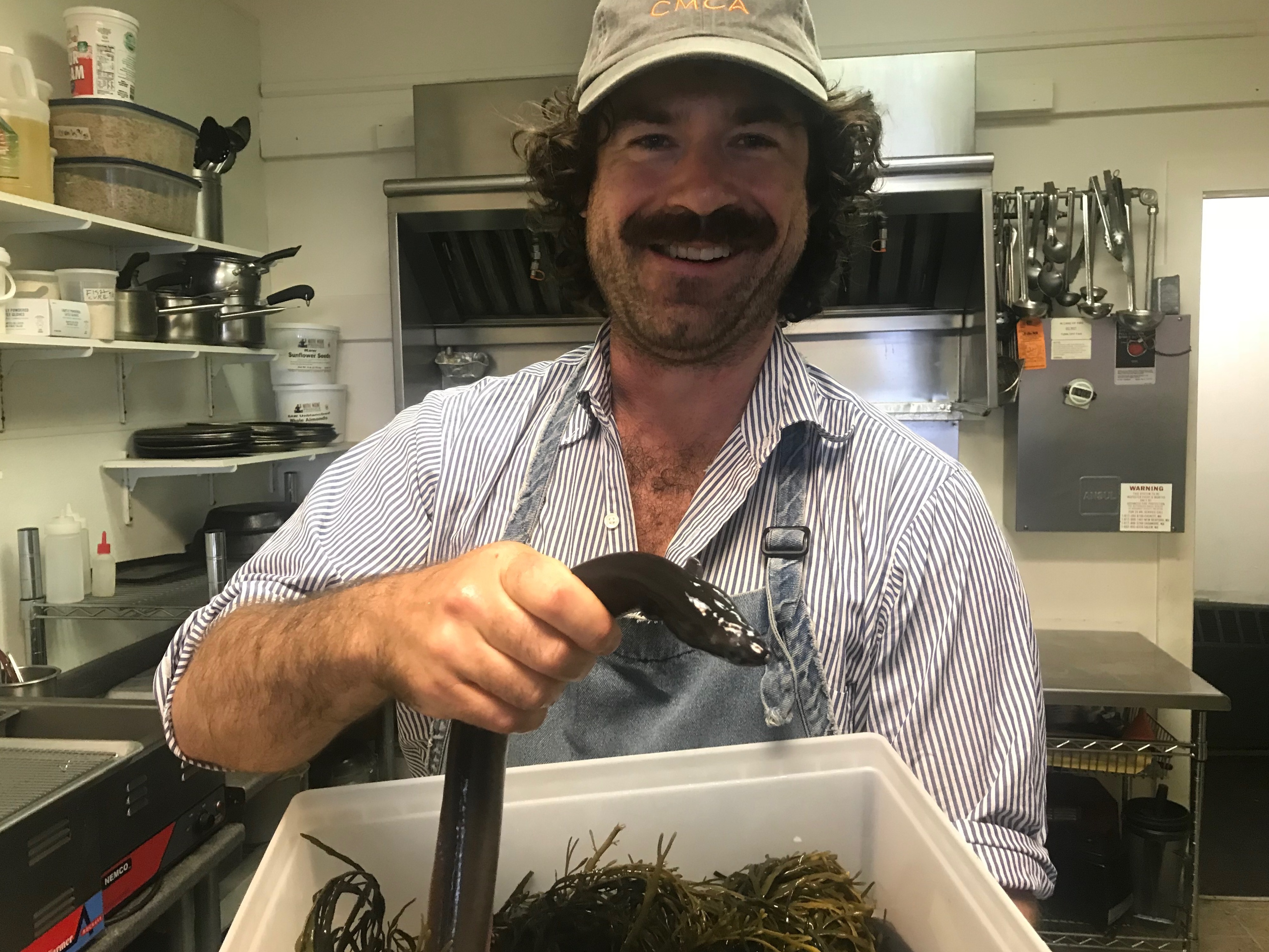 Will Americans Embrace A Zeal For Eel? This Maine Entrepreneur Hopes So