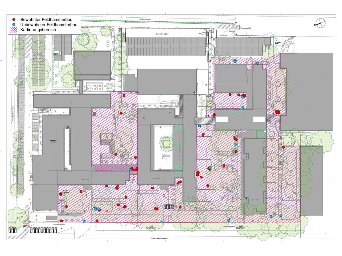 With Europe's Hamsters At Risk, Better Call The 'Hamster Commish' : NPR