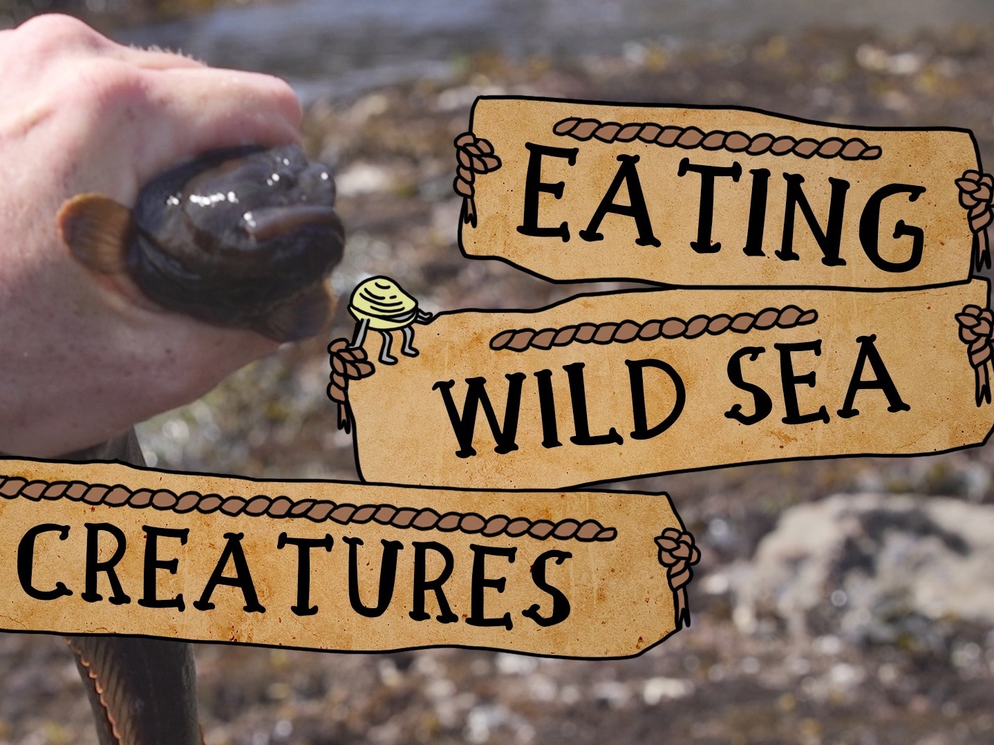VIDEO: Watch The Sea Forager Sustainably Harvest The Ocean's Bounty ...