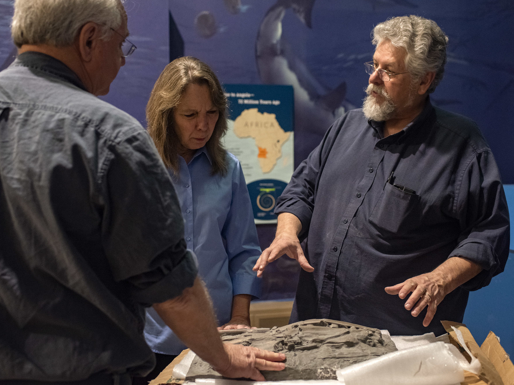Scientists Unveil Ancient Sea Monsters Found In Angola | NCPR News