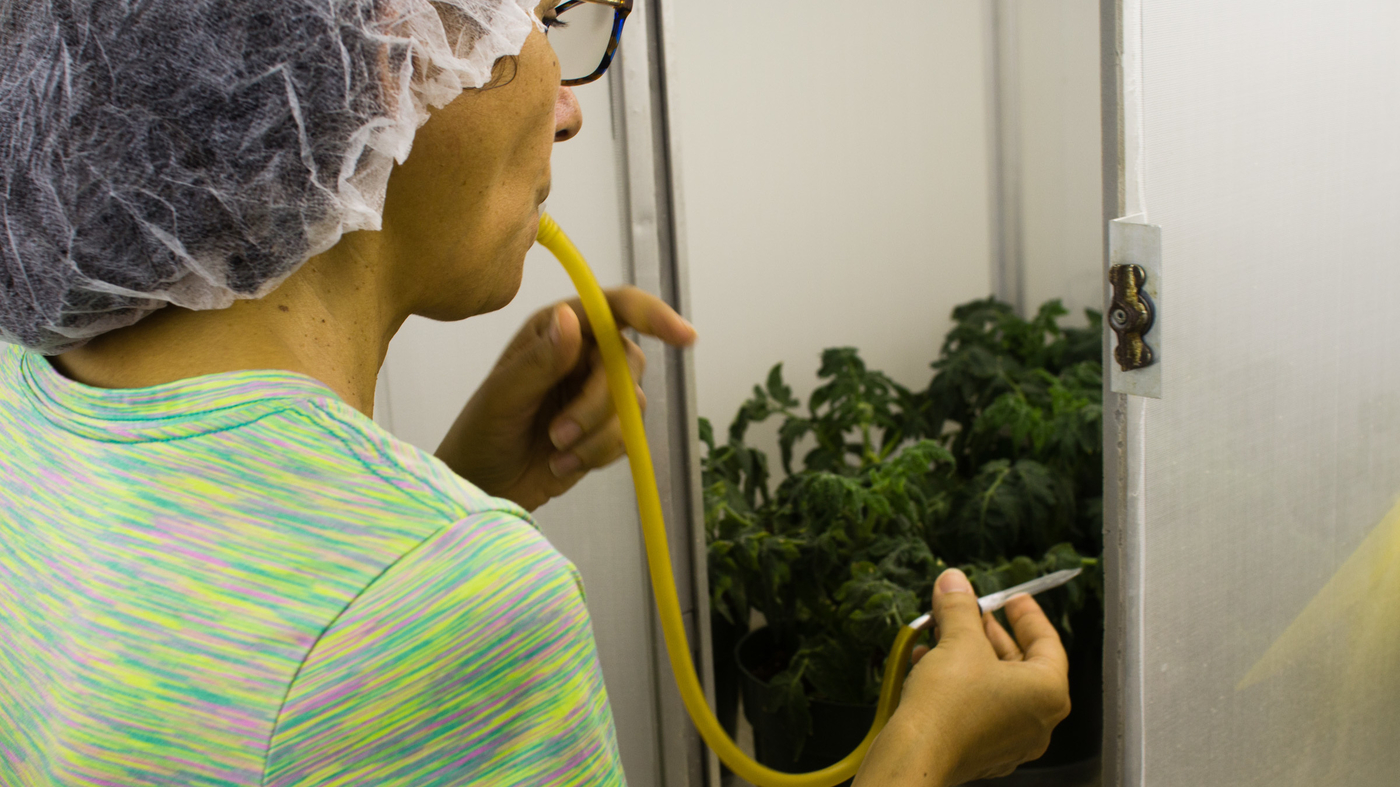 Is The Pentagon Modifying Viruses To Save Crops — Or To Wage Biological ...