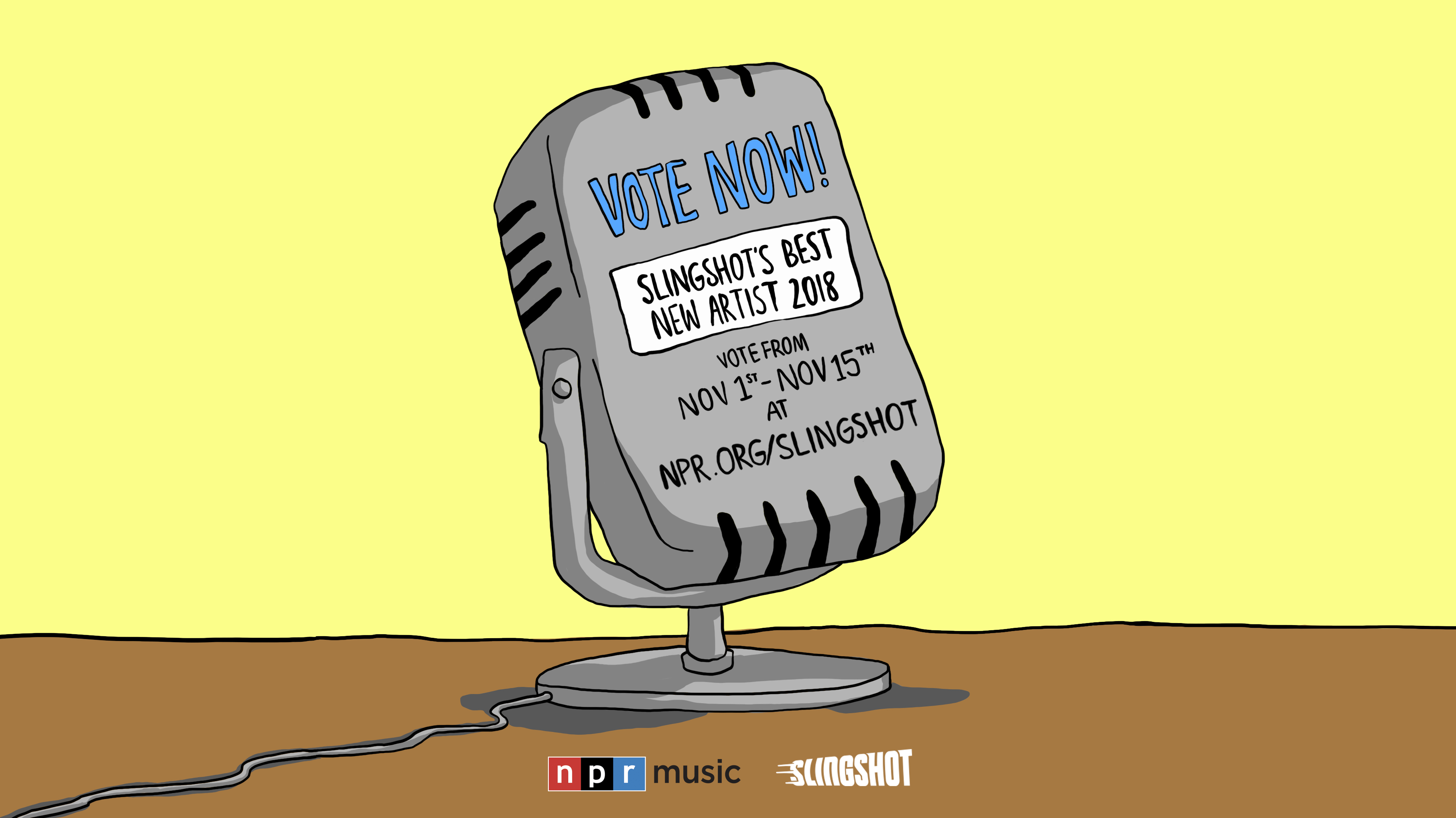 VOTE: Who Is Your Favorite New Musician Of 2018? : NPR