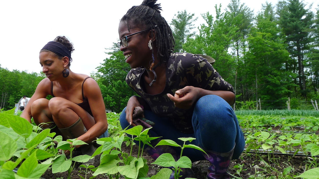 'Farming While Black': A Guide To Finding Power And Dignity Through ...