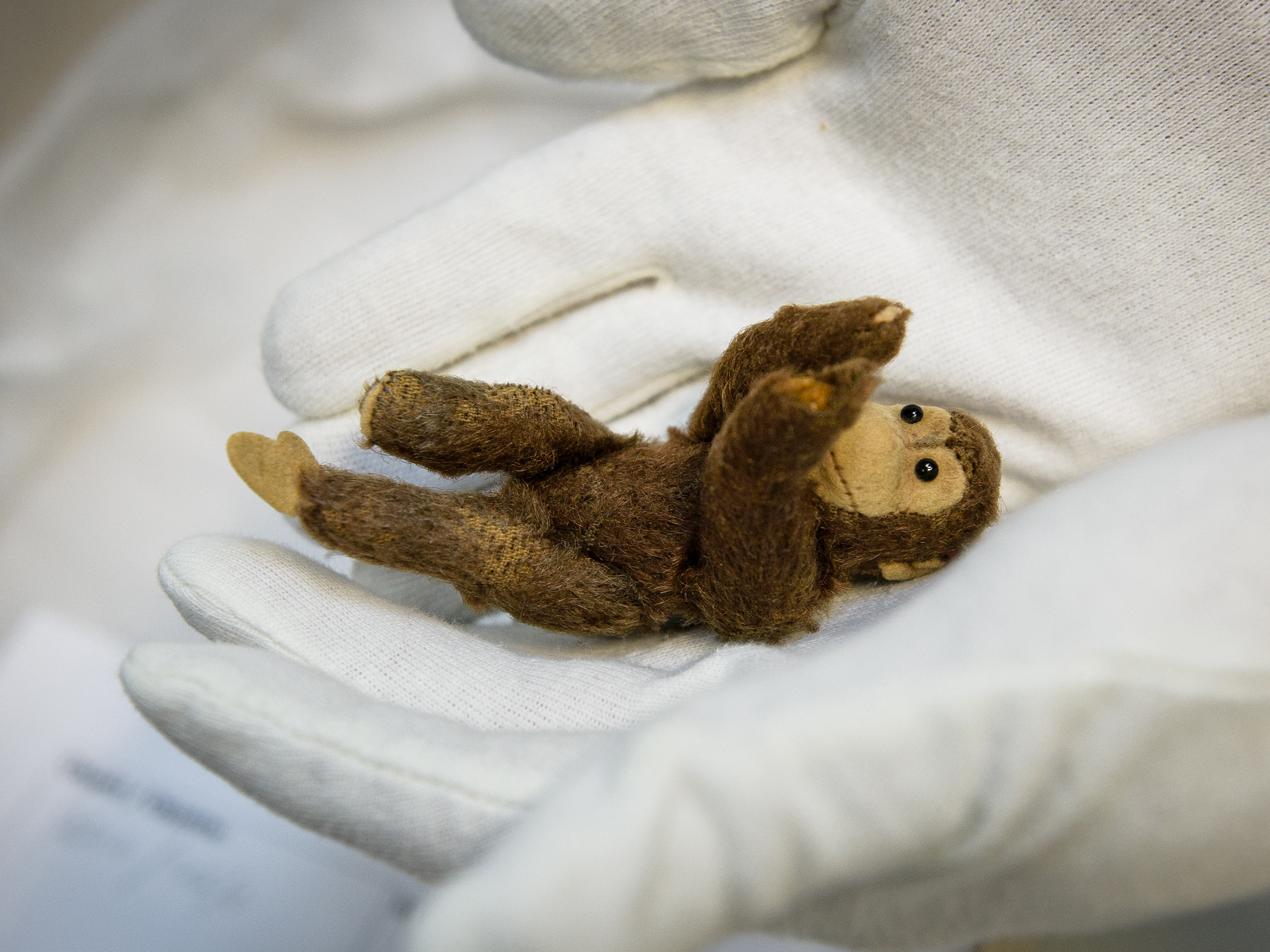 A Toy Monkey That Escaped Nazi Germany And Reunited A Family | NCPR News