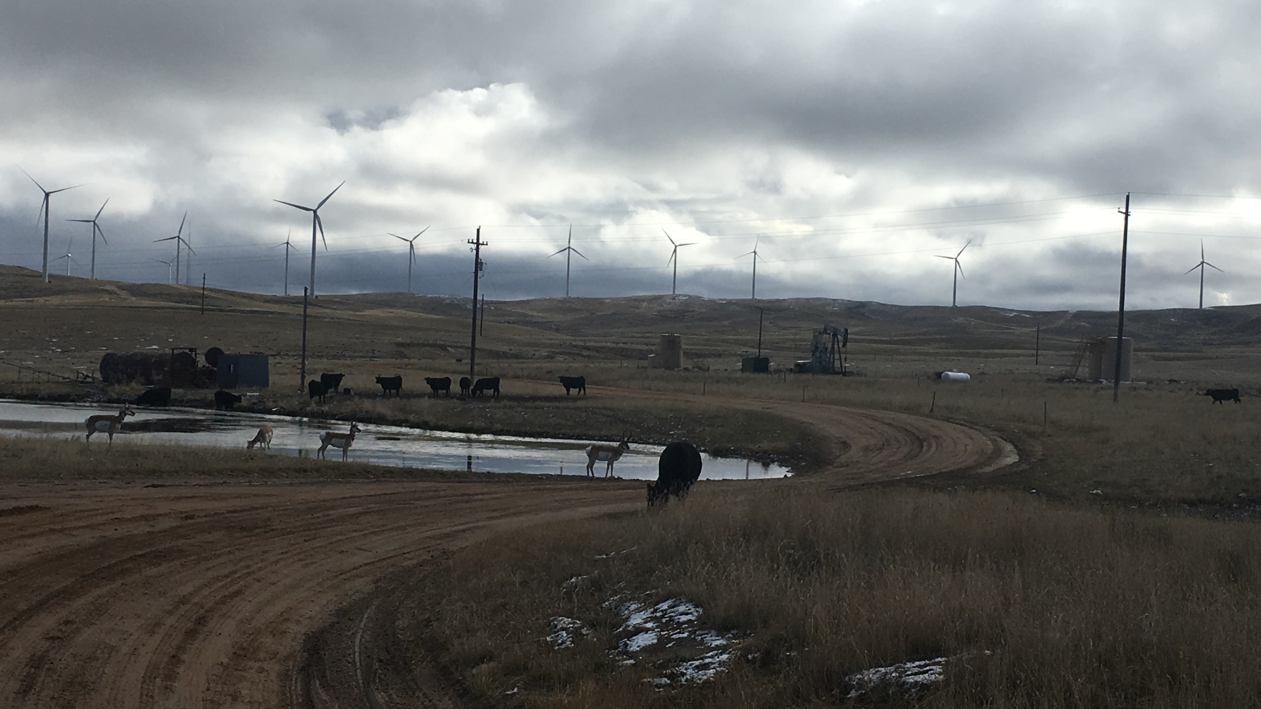 Trump Push For 'Energy Dominance' Boosts Drilling On Public Land : NPR