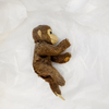 A Toy Monkey That Escaped Nazi Germany And Reunited A Family : NPR