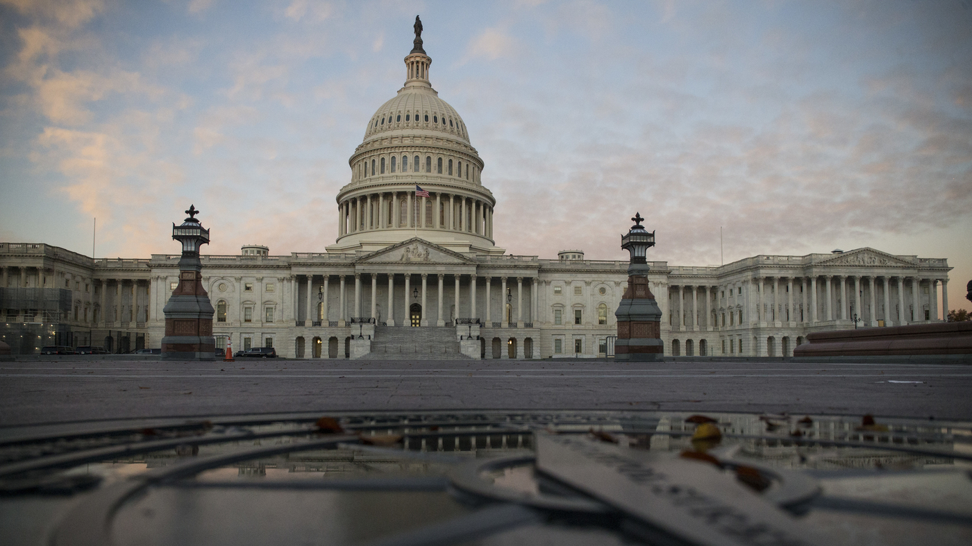 Democrats Pick Up Most House Seats In A Generation : NPR