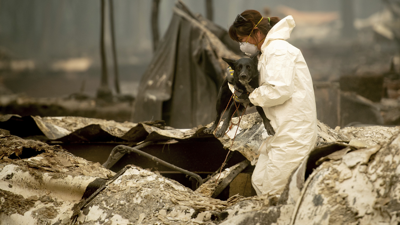 Camp Fire Missing-Persons List Grows To More Than 300 Names : NPR