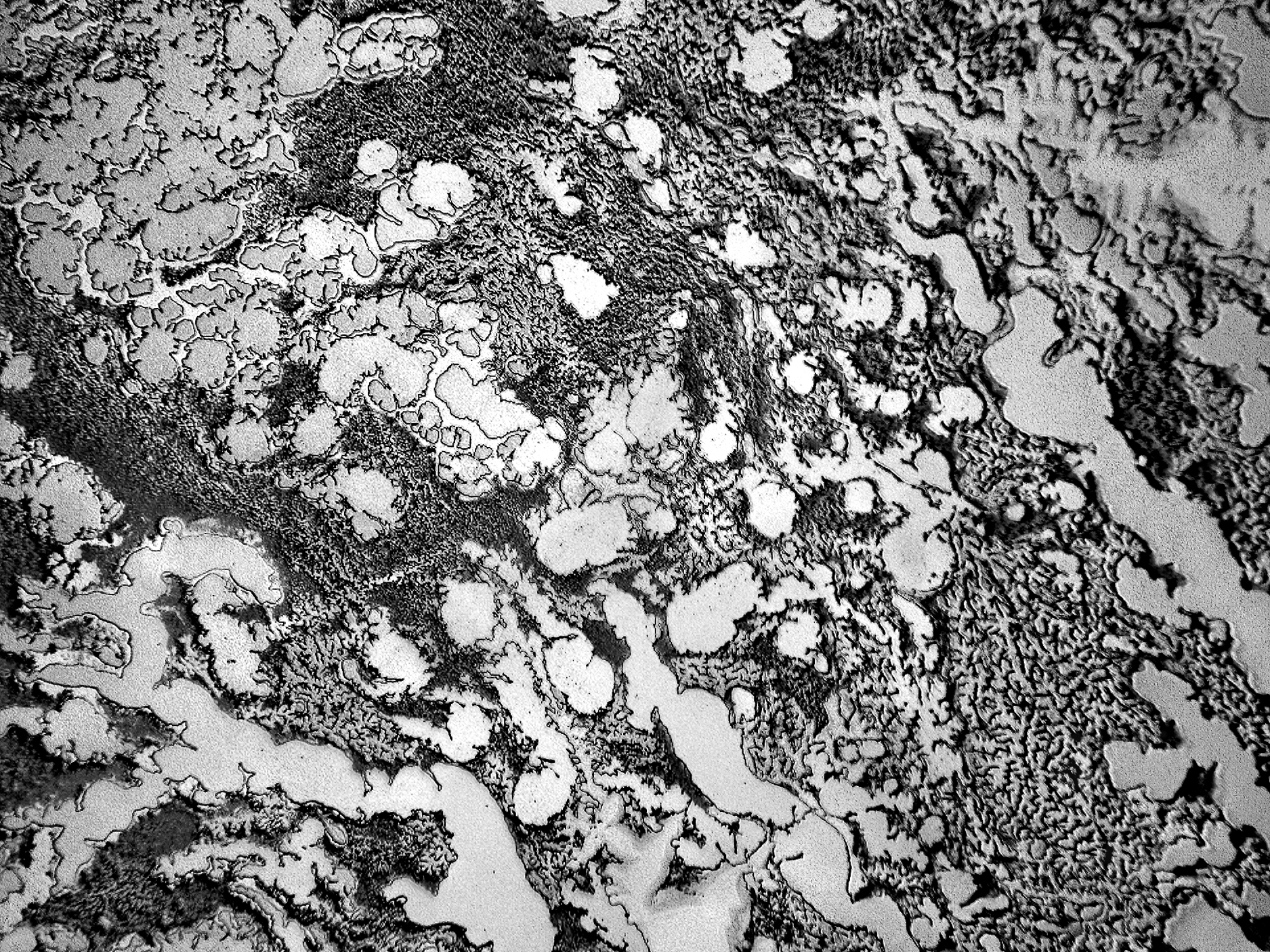 What Do Tears Look Like? | NCPR News