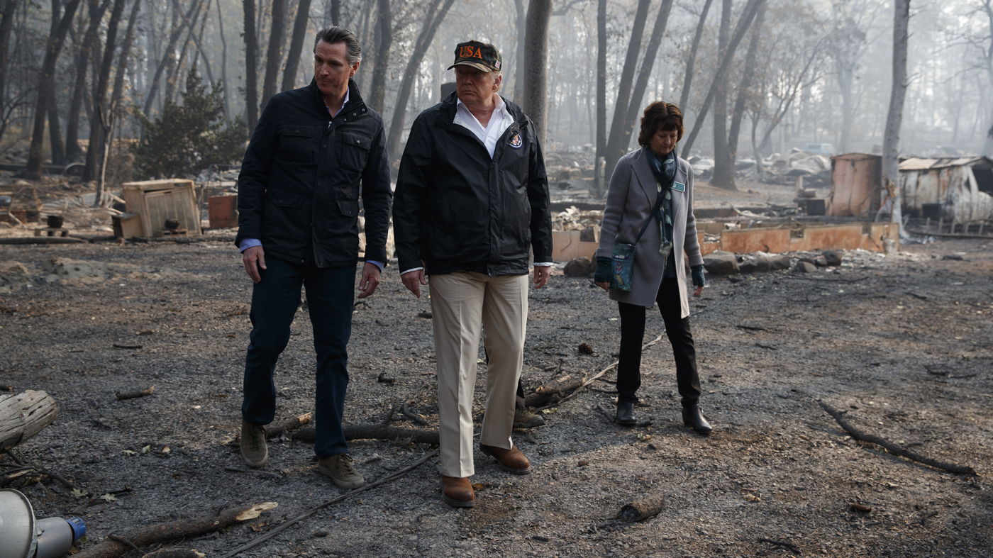 Trump Blames Forest Management For Wildfires Again During California ...