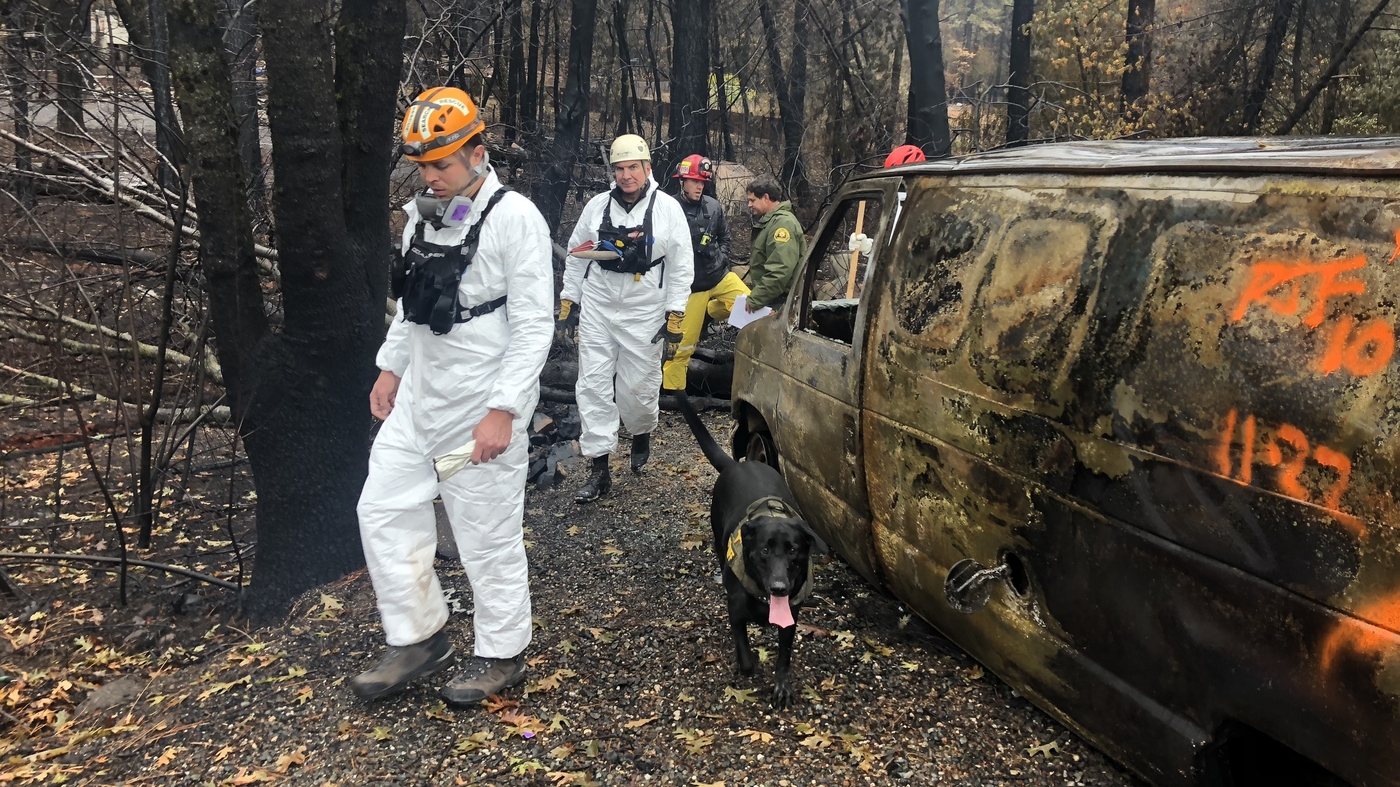 'Like Being In A War Zone': California Fire Search And Rescue Could ...