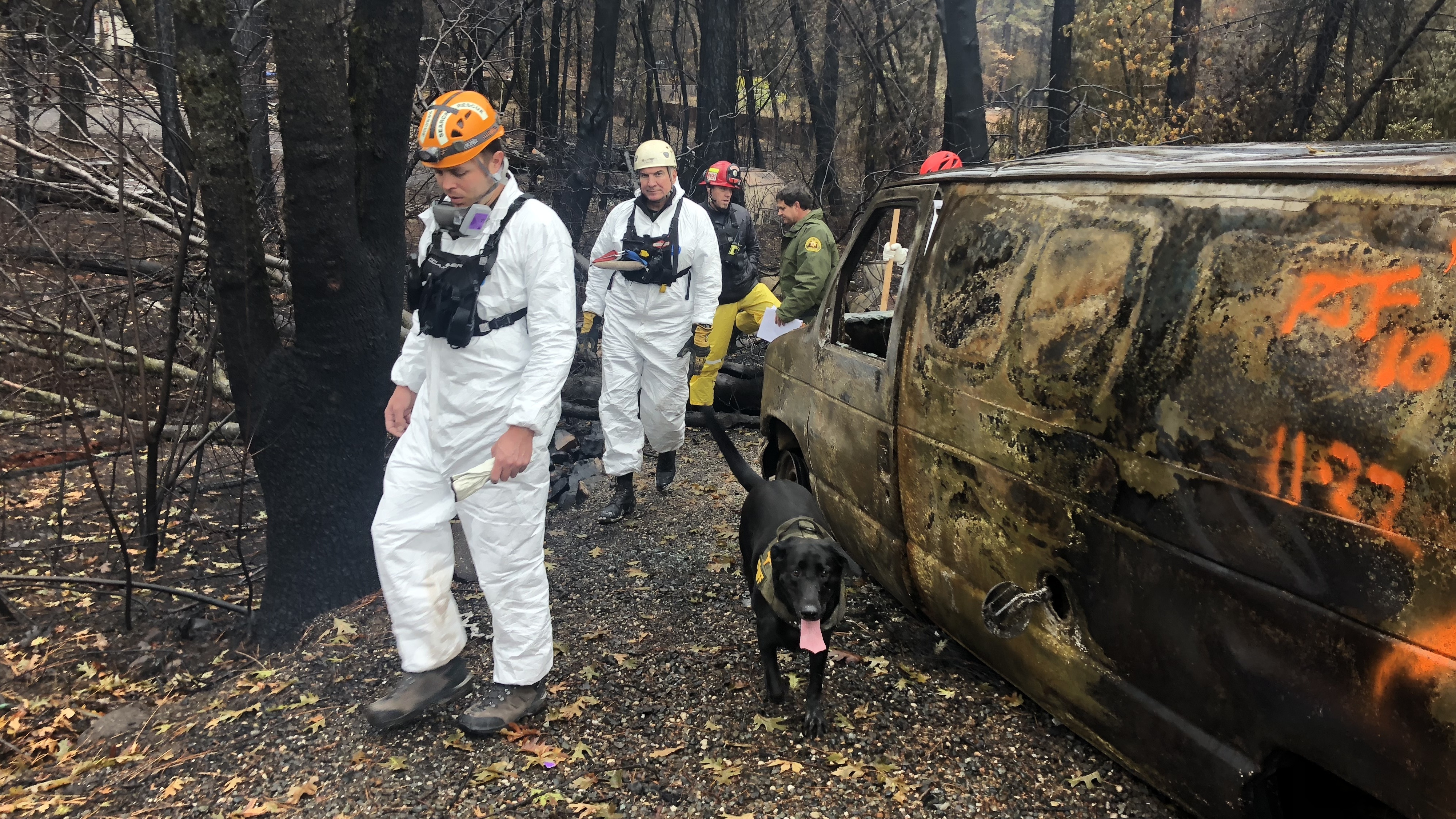 'Like Being In A War Zone': California Fire Search And Rescue Could ...