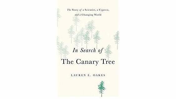 'In Search Of The Canary Tree' Highlights The Links Between Nature ...