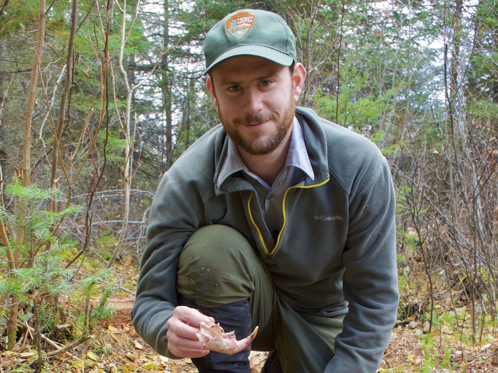 The Secret Fishing Habits Of Northwoods' Wolves | NCPR News