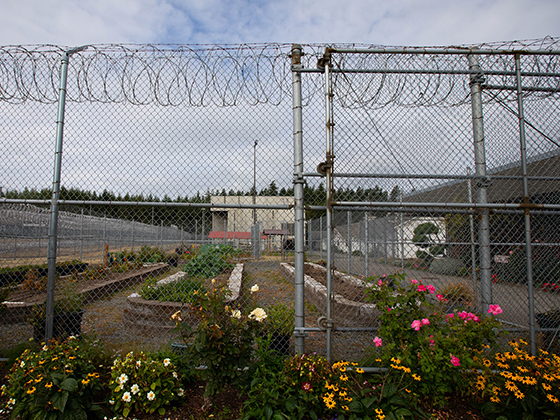 'Changing The Mindset': Female Inmates In Training For A Life After ...