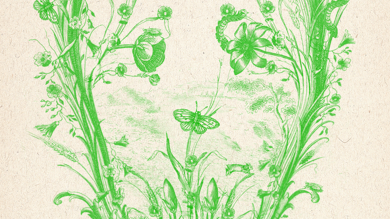 'Ghost Wall' By Sarah Moss Review: An Eerie Coming-Of-Age Tale : NPR