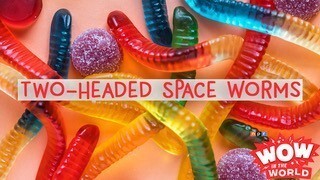 Two-Headed Space Worms : NPR