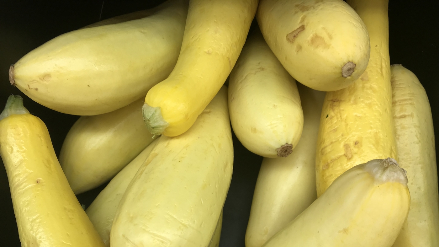 People Strongly Against GMOs Had Shakier Understanding Of Food Science ...