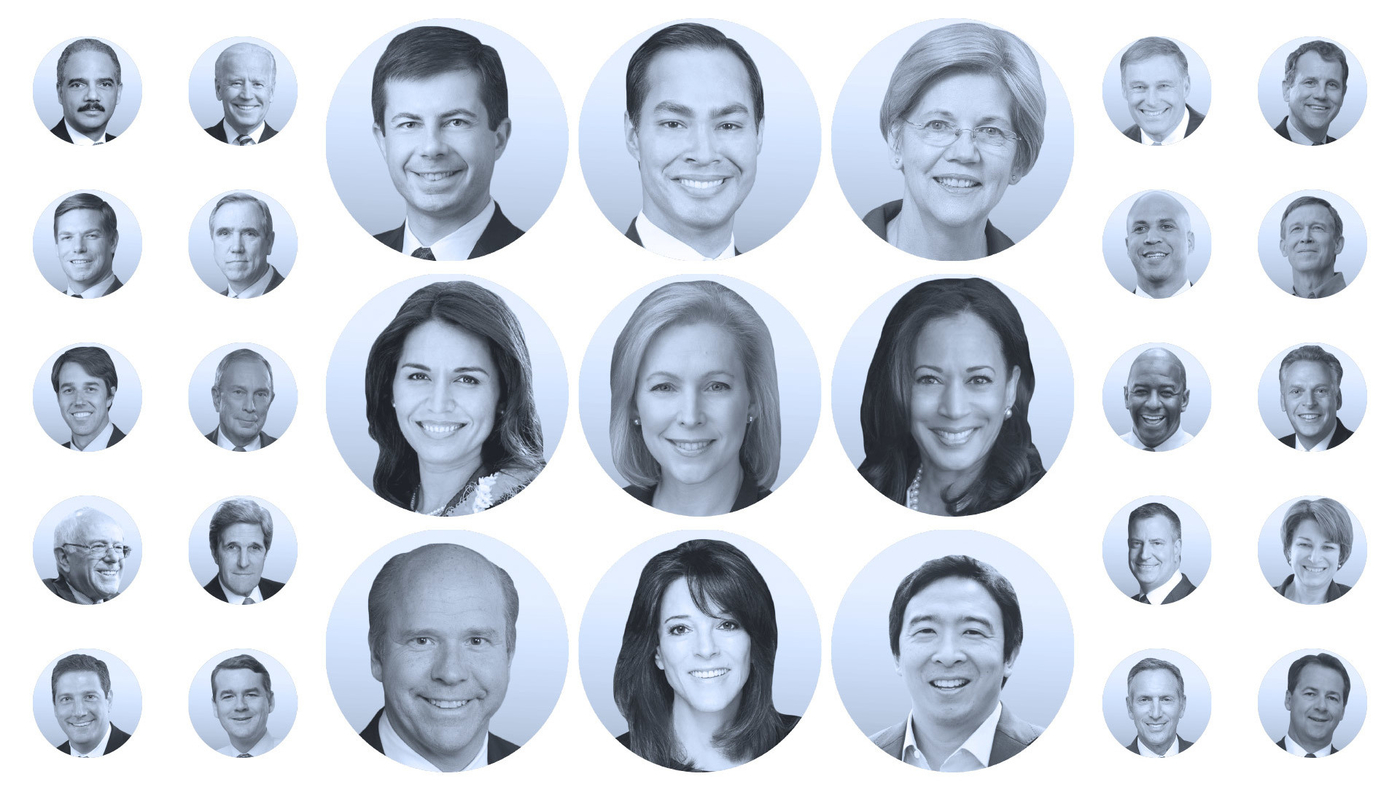 Who Were The 2020 Democratic Presidential Candidates? : NPR