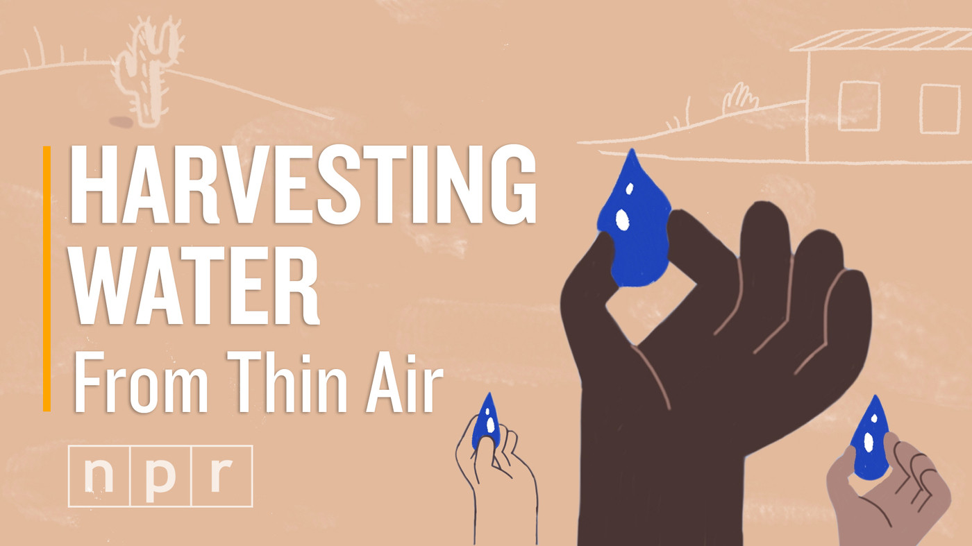 WATCH: This Device Pulls Clean Water Out Of Desert Air : The Two-Way : NPR