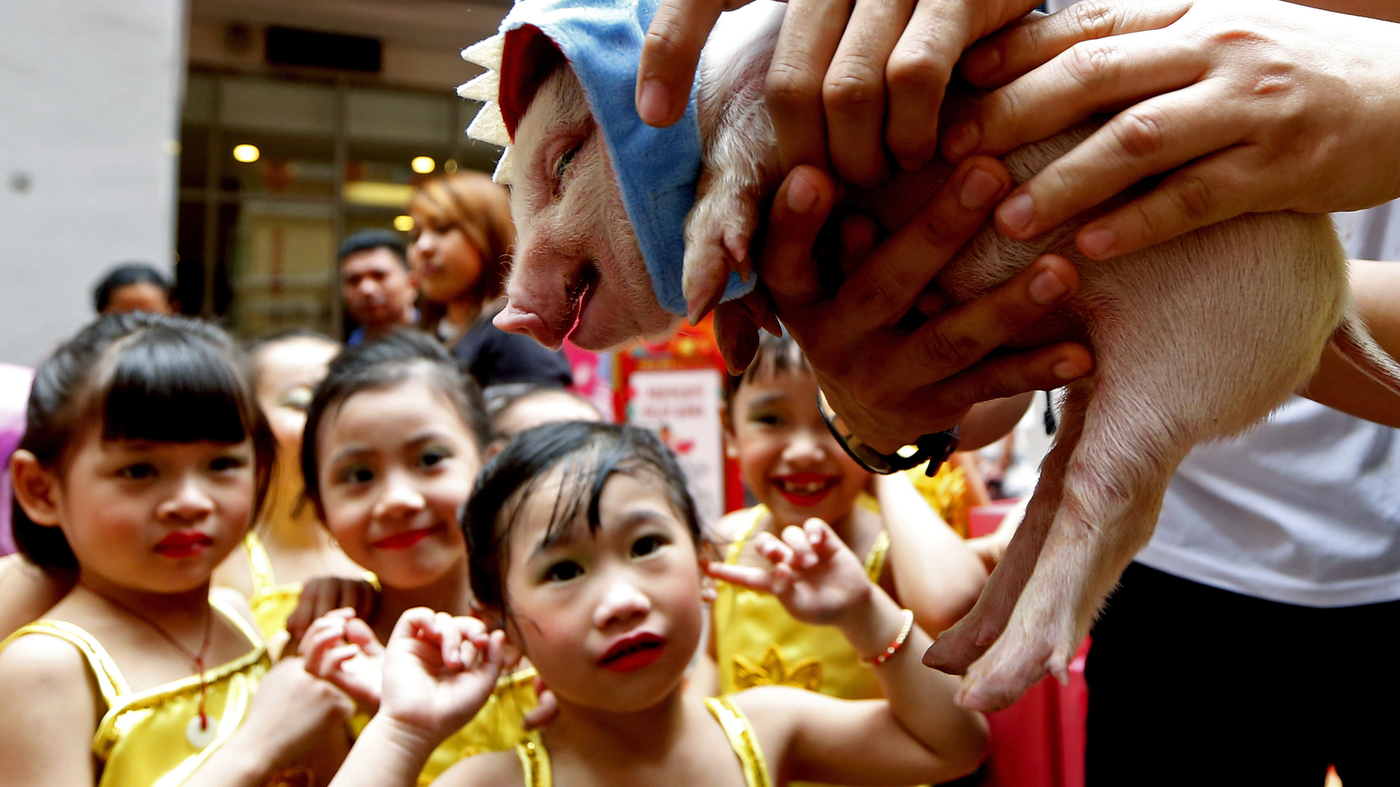 PHOTOS: The Year Of The Pig Is Here : NPR