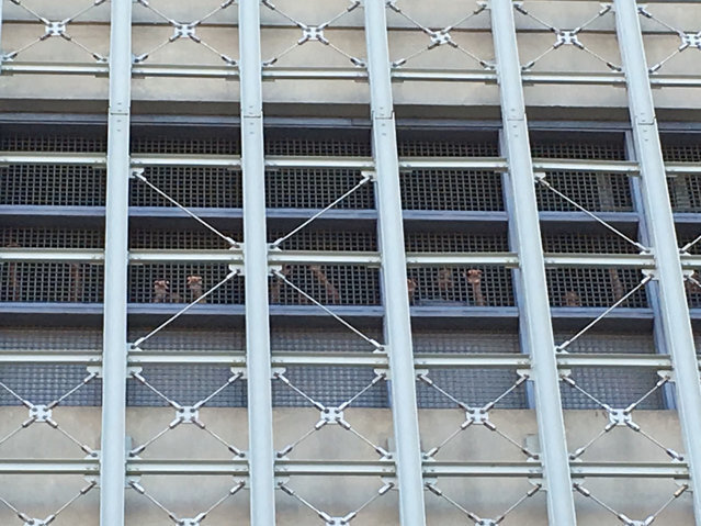 Power Restored To Brooklyn Jail Where Inmates Went A Week Without Heat ...