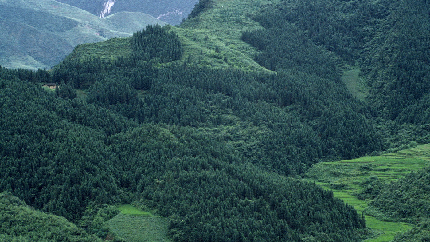 China's War On Air Pollution Is Making Strides. But There Are Already Signs Of Backsliding ...