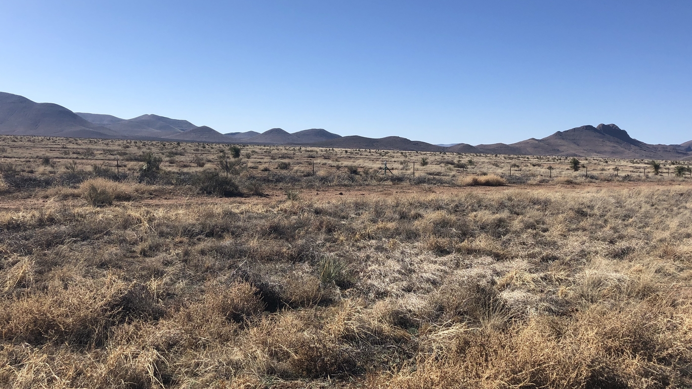 Critics Say Border Wall Could Harm Wildlife Corridors And Sensitive ...