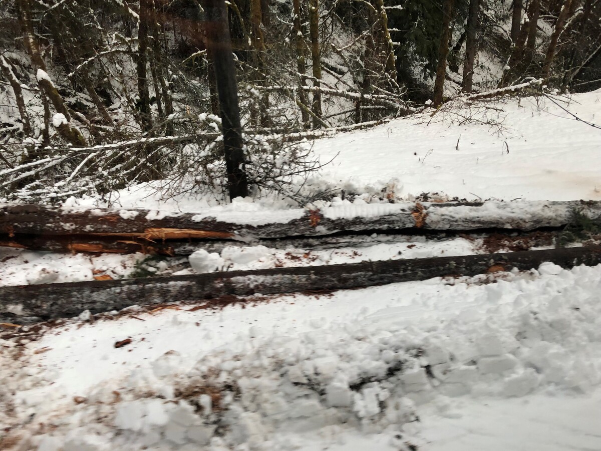 183 Amtrak Passengers Rescued After 36 Hours Stranded In Oregon Amid ...