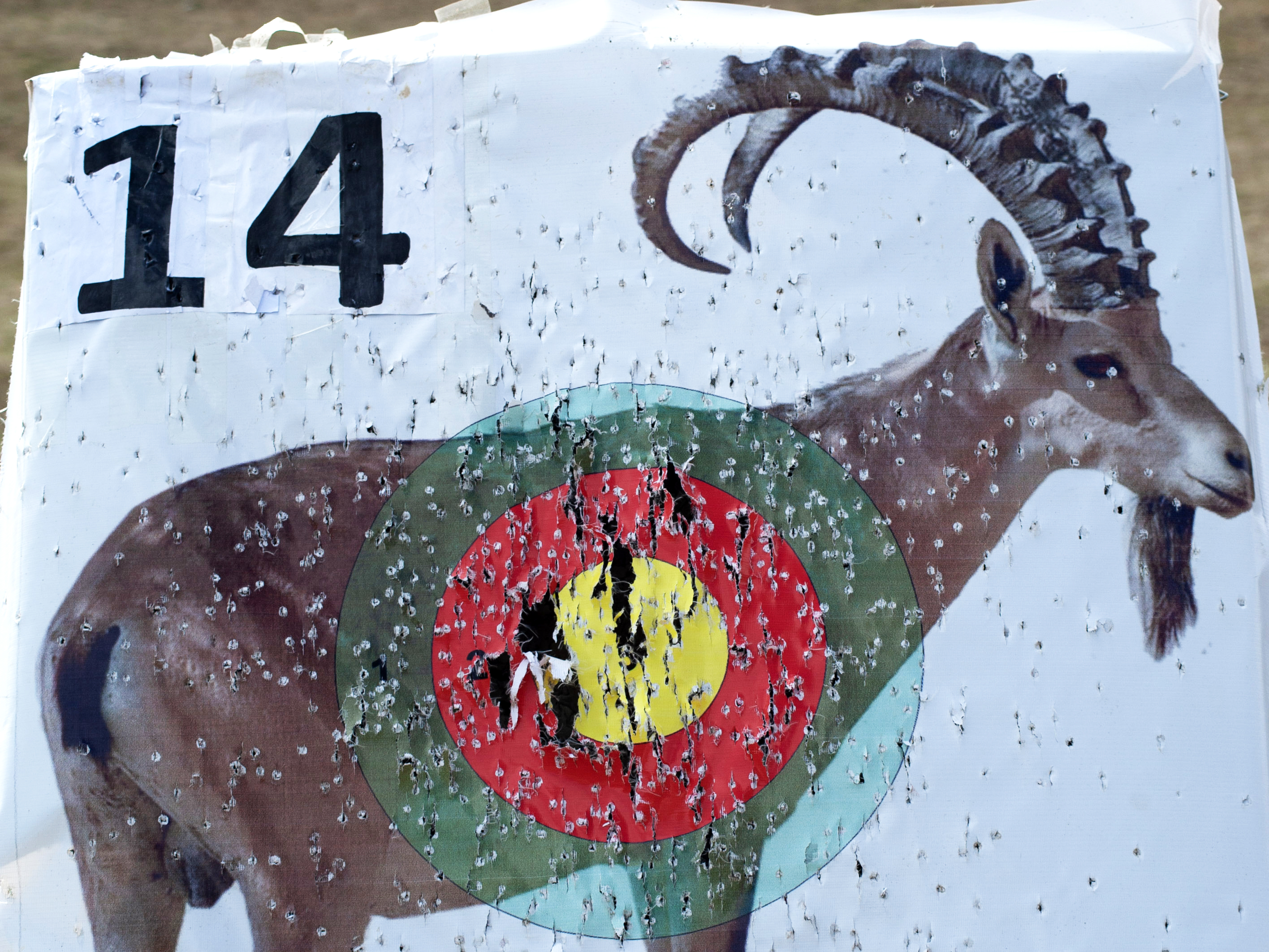 Headless Goat Polo Is A Top Sport At World Nomad Games | NCPR News
