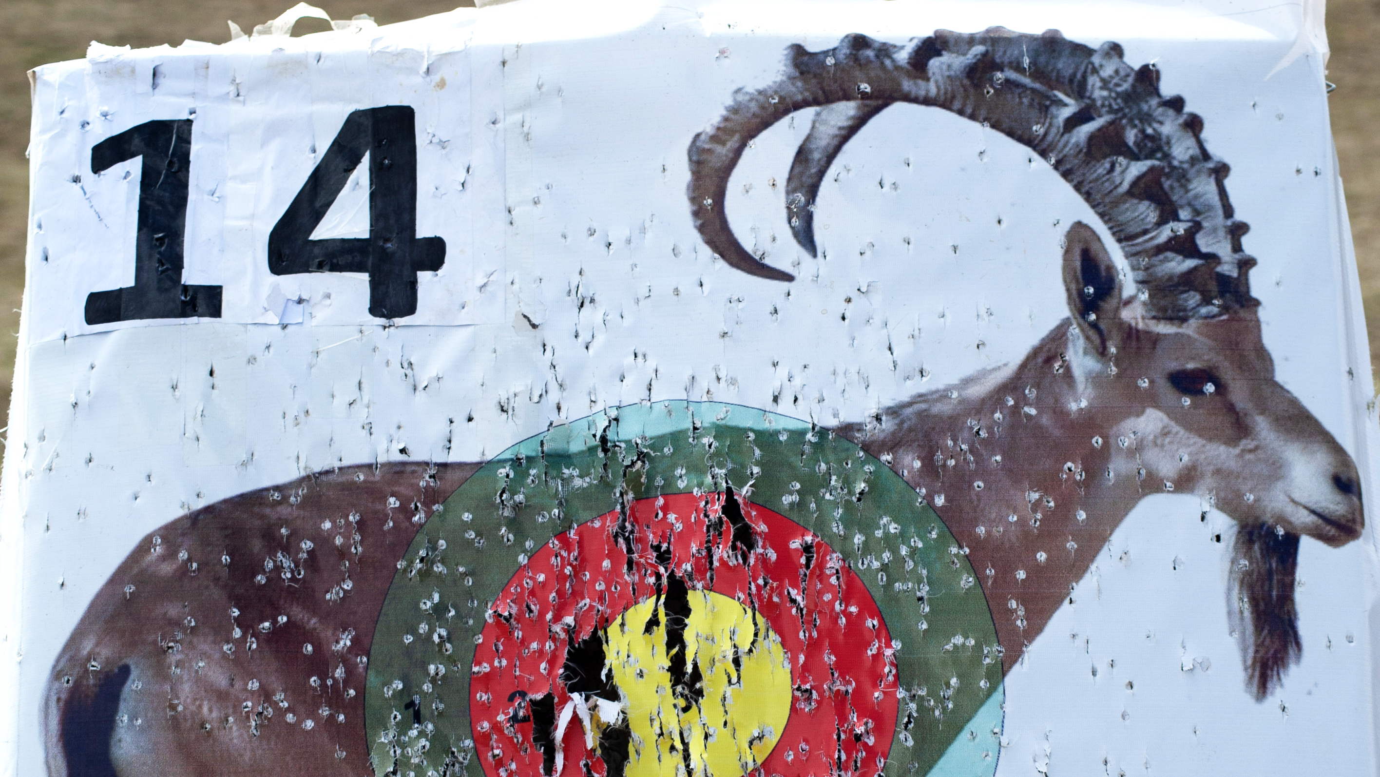 Headless Goat Polo Is A Top Sport At Kyrgyzstan's World Nomad Games ...