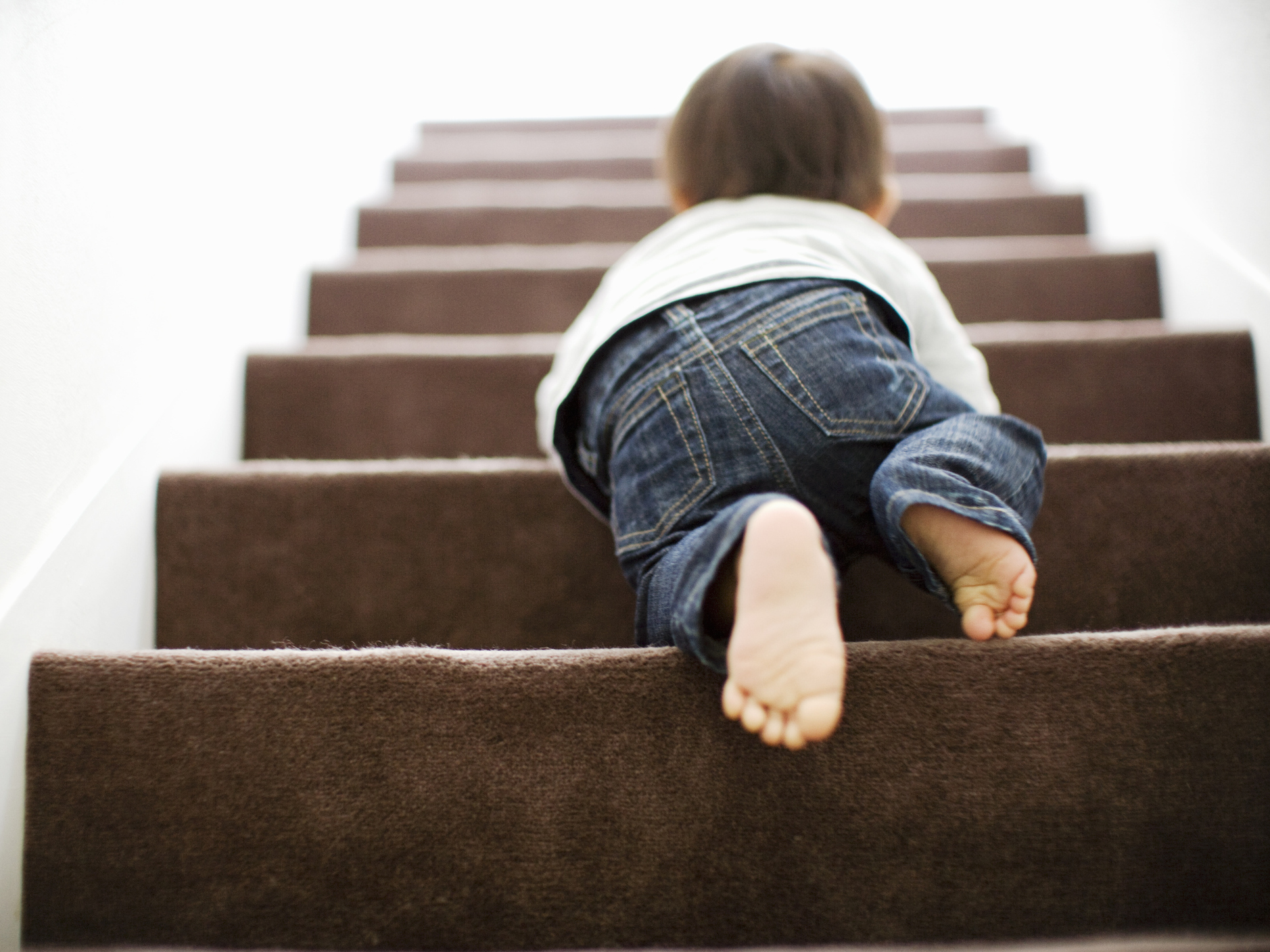 Is Your Child An Orchid Or A Dandelion? Unlocking The Science Of ...