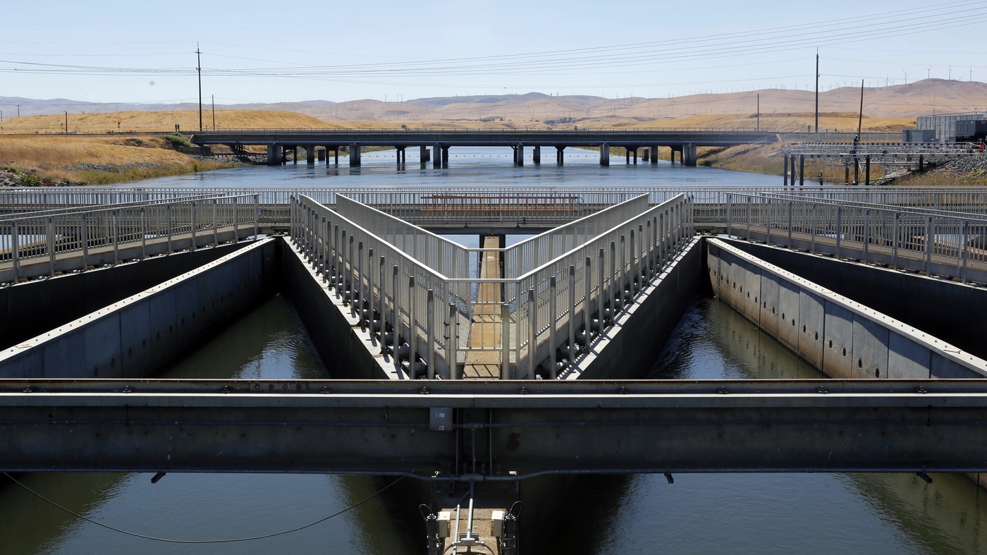 Trump push to give California farmers more water may shortchange ...