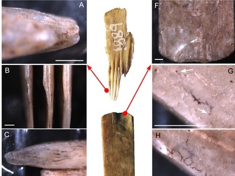 Making A Mark: Ancient Tonga Tattoo Tools May Illustrate Birth Of ...