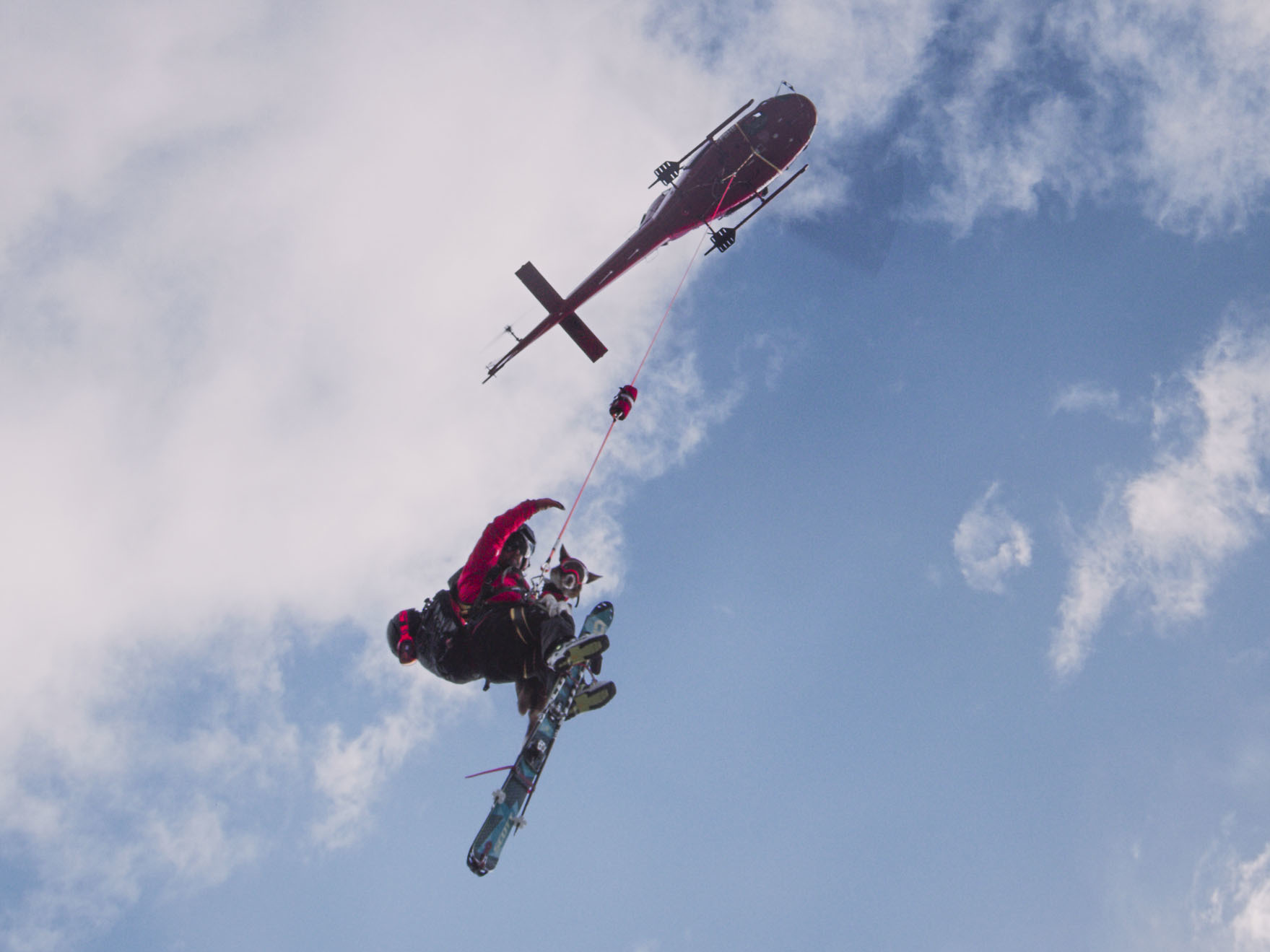 It's A Bird! It's A Plane! It's ... A Dog Dangling From A Helicopter ...